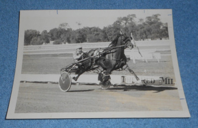1976 Harness Racing Press Photo Horse "Nero" Joe O'Brien The Red Mile ...