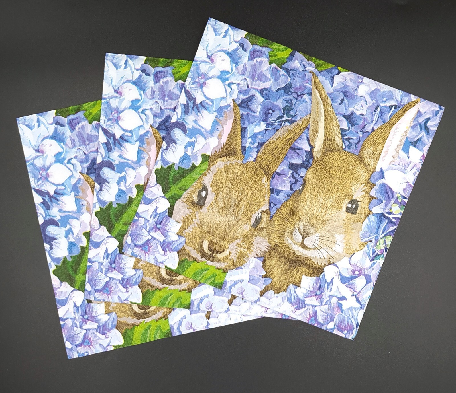S781# 3 x Single SMALL Paper Napkins For Decoupage Two Bunny Hares In ...