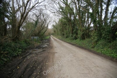 Photo 6x4 Lane to Moditonham Quay Botusfleming c2010 | eBay UK