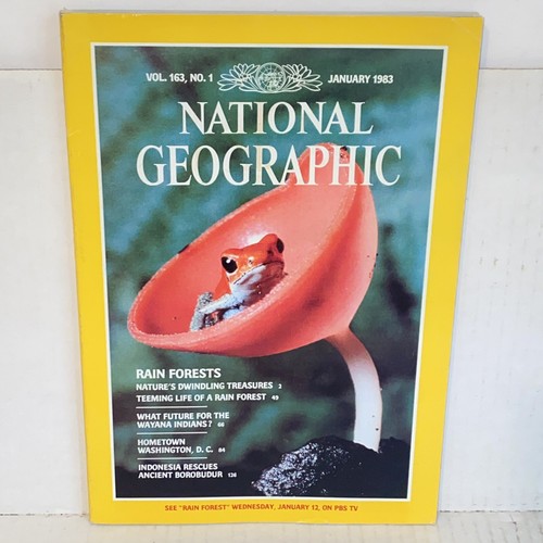 Vintage January 1983 National Geographic Magazine Rain Forests Wayana ...