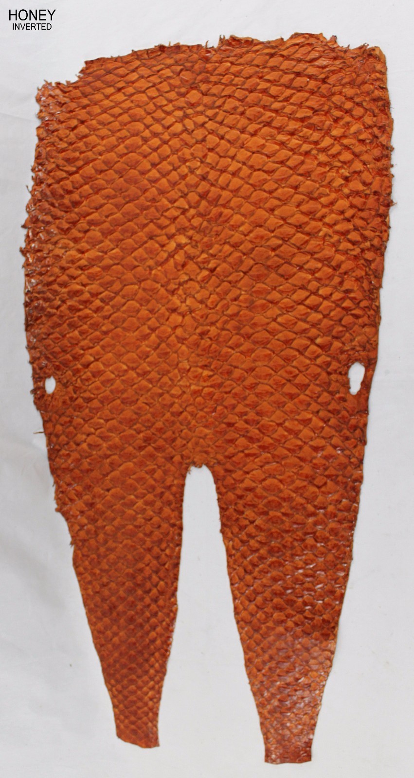 Pirarucu skin, Arapaima skin (INVERTED SCALES) 12 colors available see ...