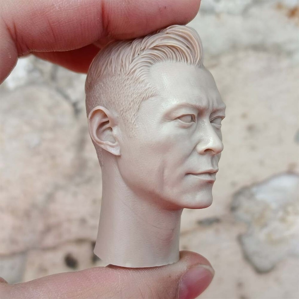 Unpainted Louis Koo Tin Lok Head Carved Asia Movie Actor Head Model 1/6 ...