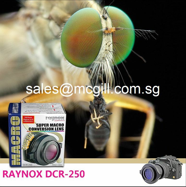 RAYNOX DCR-250 Super Macro Lens + 360° FD NO STOCK + Worldwide Shipping ...