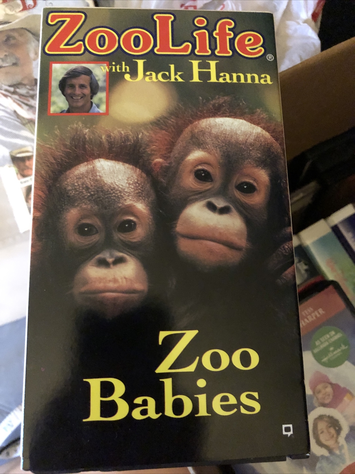 ZooLife With Jack Hanna: Lions, Tigers, Bears (VHS, 1998) for sale ...