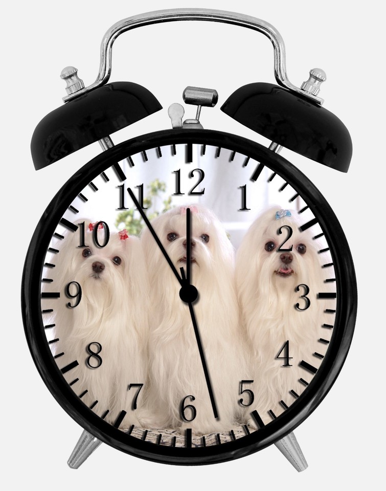 Maltese Alarm Desk Clock 3.75" Home or Office Decor W161 Nice For Gift ...