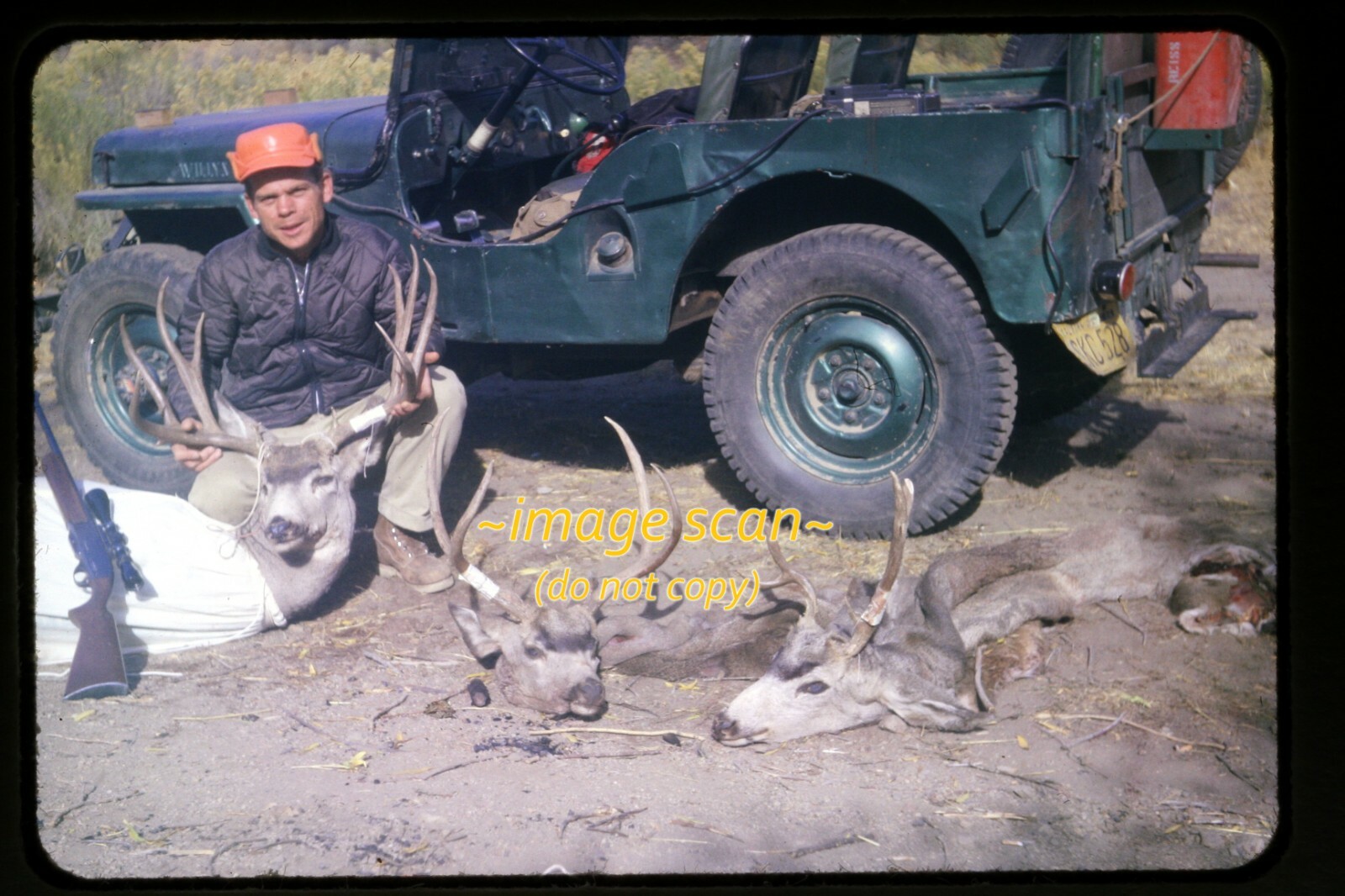 Nevada Mule Deer Hunter Man w/ Willys Jeep in early 1960's, Kodachrome ...