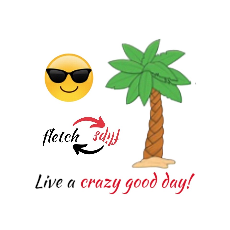 Craftsman 1/2" Drive 15” Breaker Bar & Ratchet w/Oil Port Flying V ...