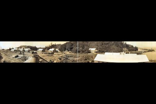 1913 Panoramic: Columbia River,north jetty,Fort Canby State Park ...