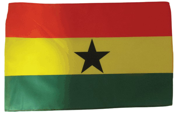 18'x12' 1.5ft x 1ft Sleeved Polyester Courtesy Flag 180+ designs FREE P ...