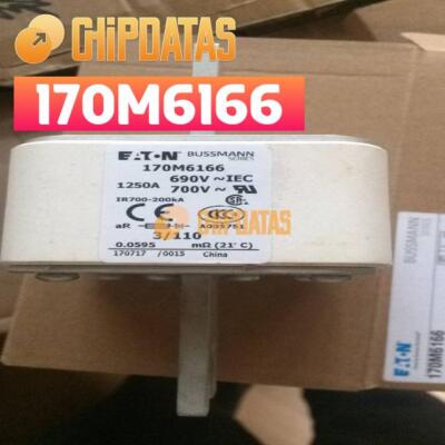 1PCS NEW Bussmann 170M6166 Power Module Supply Guarantee Quality ...