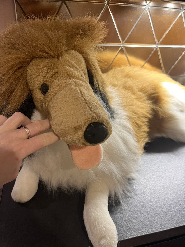 E & J Prima Classic Collection Large Rough Border Collie Realistic Soft ...