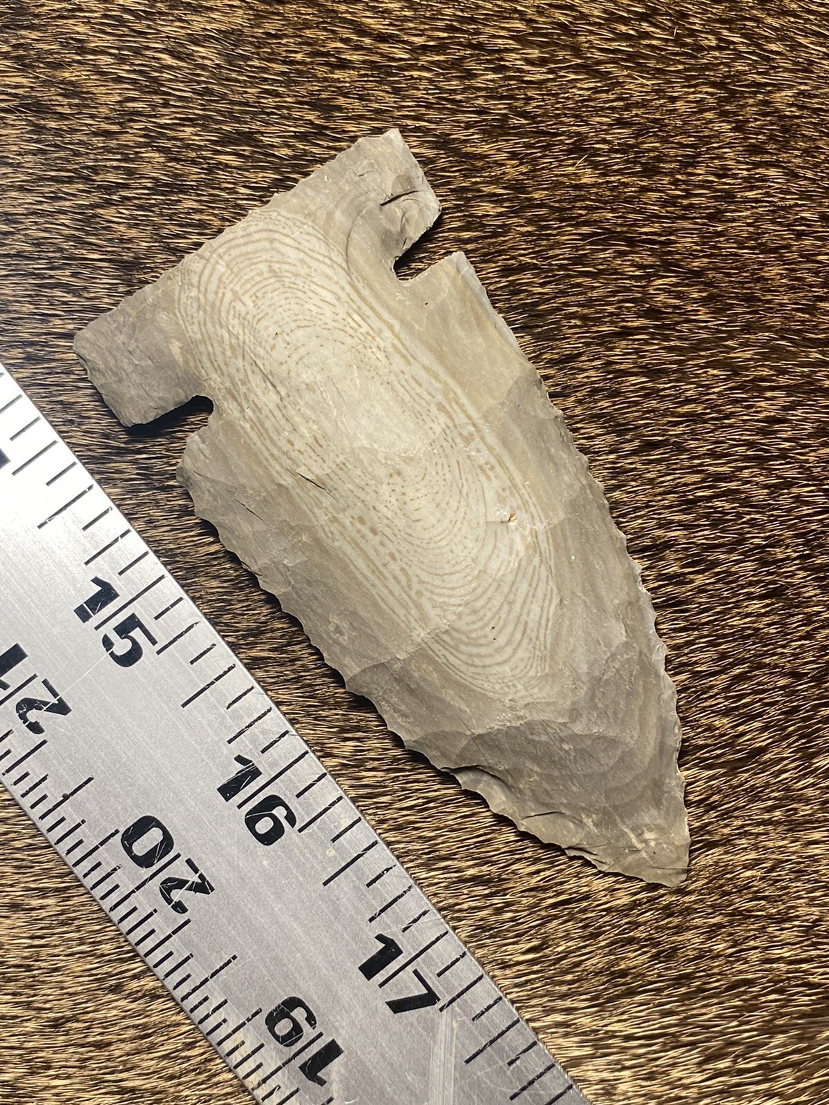 Chocolate Bullseye Buffalo River Flint Knapped Side Notch Point ...