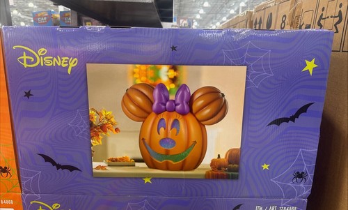 Costco Minnie Mouse LED Pumpkin Jack-o-Lantern Lights And Sounds NEW IN ...
