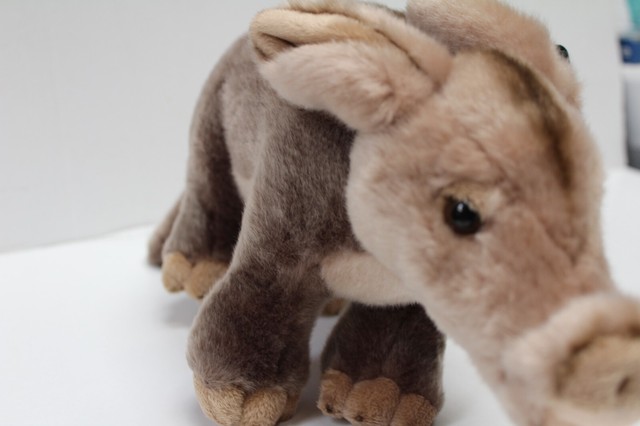 Ravensden Soft Toy Aardvark 35cm - Frs004av Cuddly Teddy Plush Cute ...
