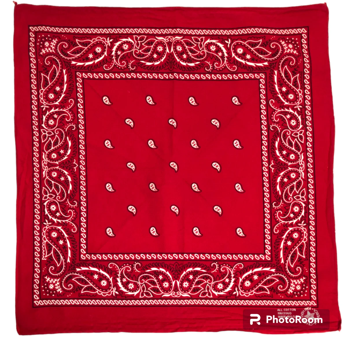 Paisley Bandana Border