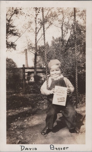 1930s David Besser swing backyard Waltham MA 3x4.5 Photo | eBay