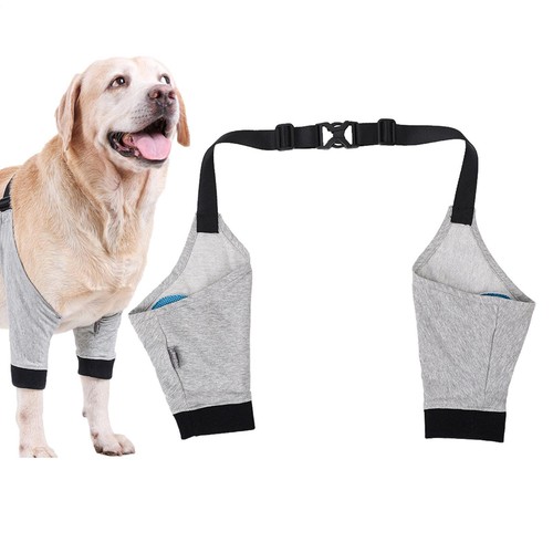 1* Dog Front Leg Elbow Brace Protector Pain Relief Shoulder Support ...