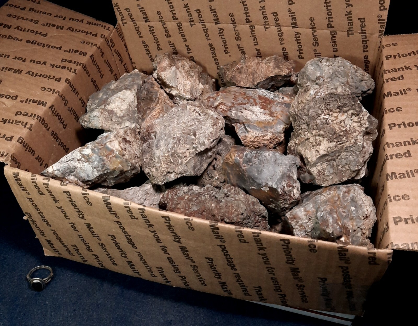 DINOSAUR COPROLITE - WYOMING GEM GRADE - 20+ LB BULK ROUGH MIX - LARGE ...
