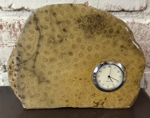 Petoskey Stone Fossil Quartz Desk Table Clock | eBay