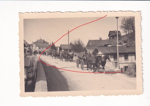 WW2 Foto Elitesoldaten Germania Anschluss 1938 Ostmark | eBay