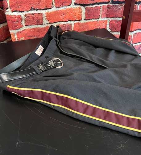 Disney Hollywood Studios Tower of Terror Cast Member Pants Mens Prop | eBay