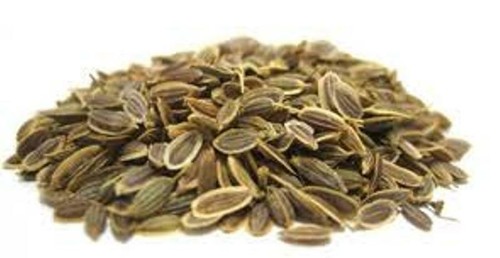 SOYA SEEDS - BEEJ DILSEED SHATAPUSHPA ANETHUM GRAVEOLENS 200GM Best ...