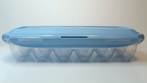 NEW Lock & Lock Robin's Egg Blue Lid Plastic Egg Container HTF Color ...