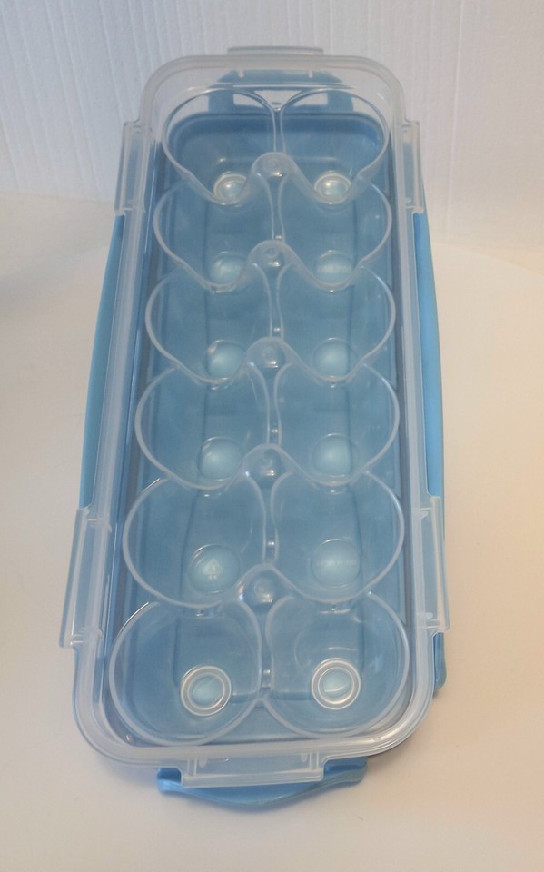 NEW Lock & Lock Robin's Egg Blue Lid Plastic Egg Container HTF Color ...