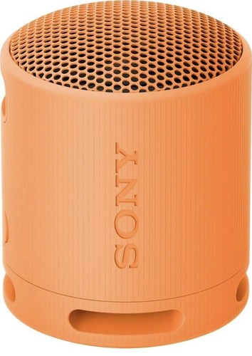 Sony SRS-XB100 Wireless Bluetooth Portable Lightweight Travel Speaker ...