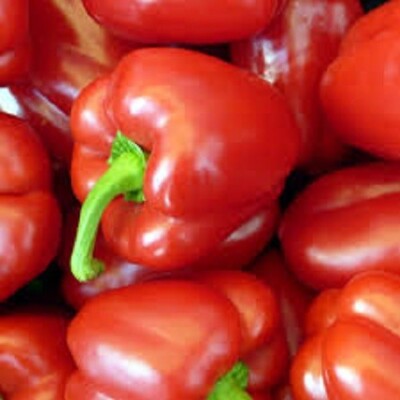 Premium Big Red Sweet Bell Pepper Seeds - Very Sweet When Ripe! Fresh ...