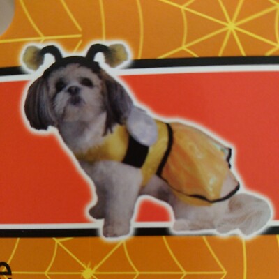 NWT Spooky Village BUMBLE BEE Pet Costume size S Dog Halloween. | eBay