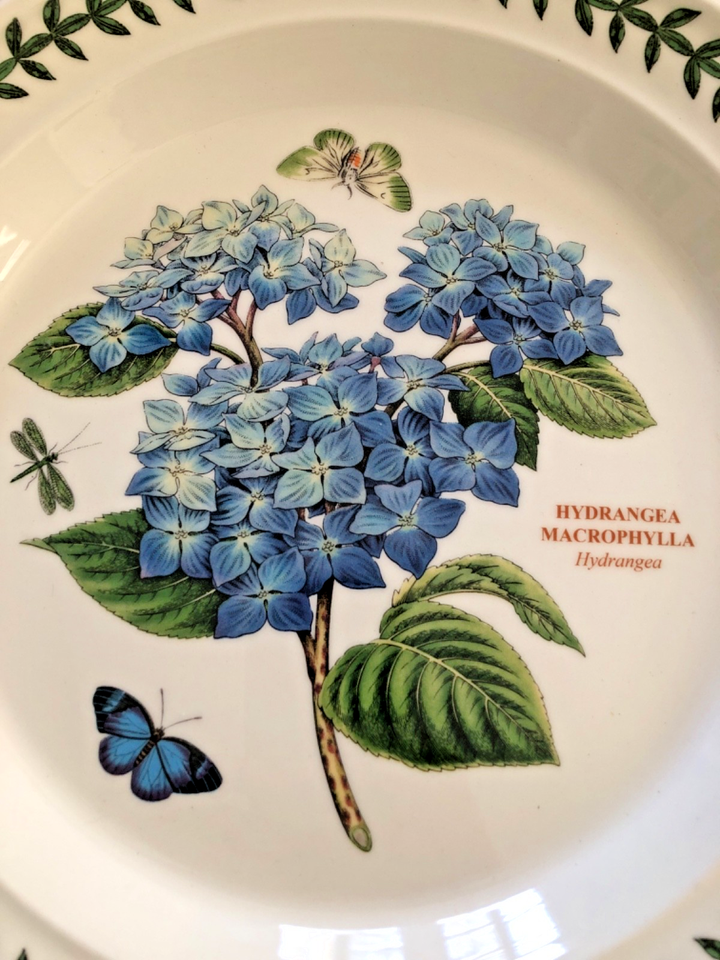 Portmeirion Botanic Garden HYDRANGEA 10 1/2" Dinner Plate -- NWT | eBay