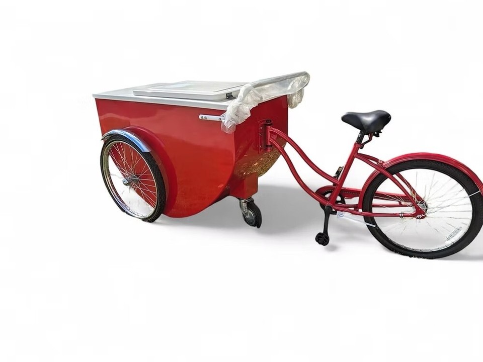 TRICYCLE VENDOR CART BICYCLE CARTS BEVERAGES COOLER TRICYCLE CART ...