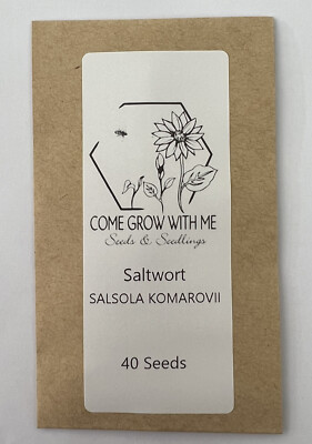 SALTWORT Seeds (SALSOLA KOMAROVII) OKAHIJIKI Land Seaweed | eBay Australia