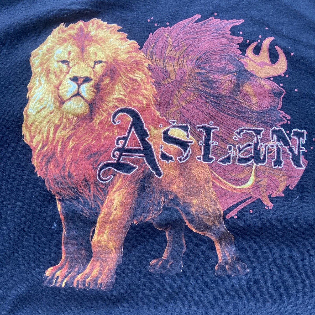 Aslan The Lion T