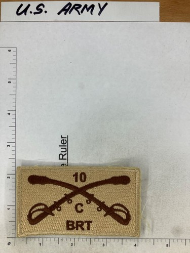 US ARMY 10th CAV PATCH | eBay