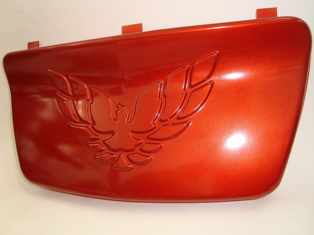 1998-2002 Firebird Trans Am Ws6 Front Bumper License Plate Cover ...