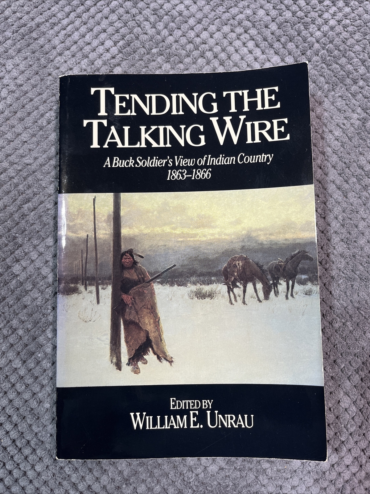 Tending the Talking Wire: A Buck Soldier's View of Indian Country, 1863 ...