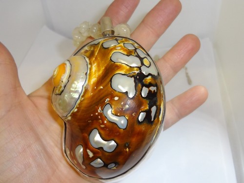 Gorgeous Large Sterling Silver Cased Shell Pendant Quartz Melon Beaded ...