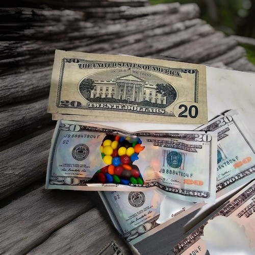 Premium 100Pcs 3.5g Mylar Bags Money Prop| Resealable| $20 Bill | eBay