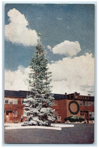 1944 Christmas Tree Construction Battalion Replacement Depot CA ...