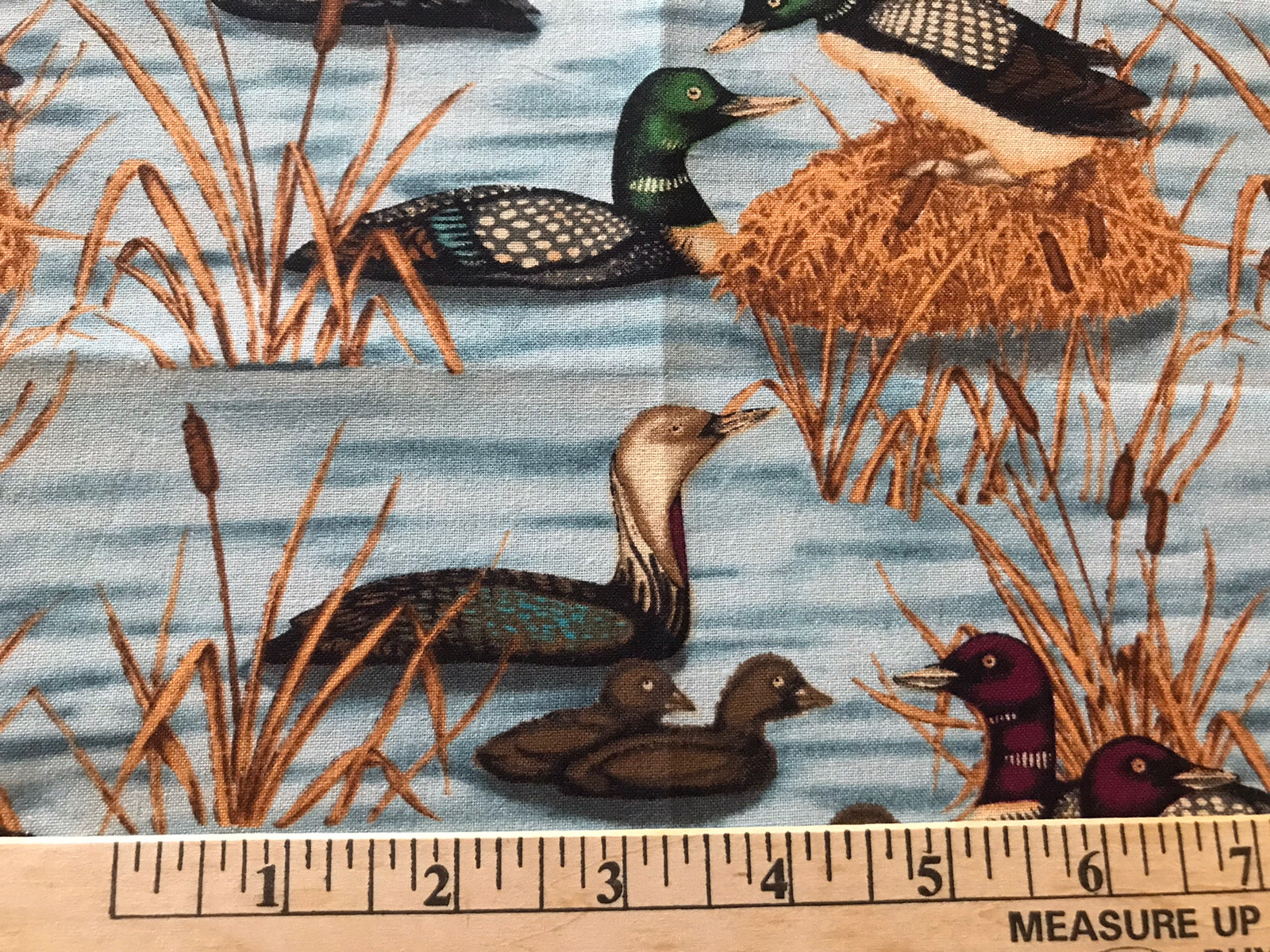 COTTON FABRIC Loons Reeds Cattails Baby Loons Water FAT QUARTER | eBay