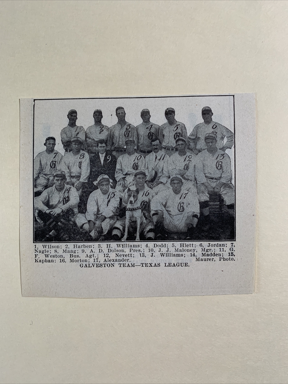 Galveston Pirates Texas Lg Harry Williams Gene Madden 1912 Baseball ...