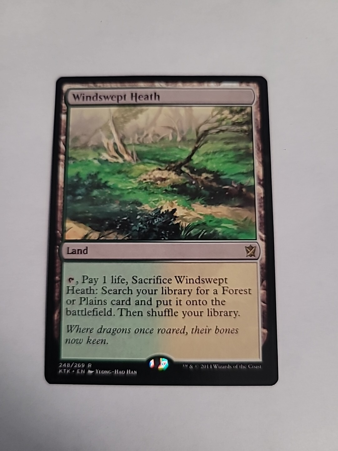 MTG Windswept Heath Khans of Tarkir 248/269 Regular Rare for sale ...