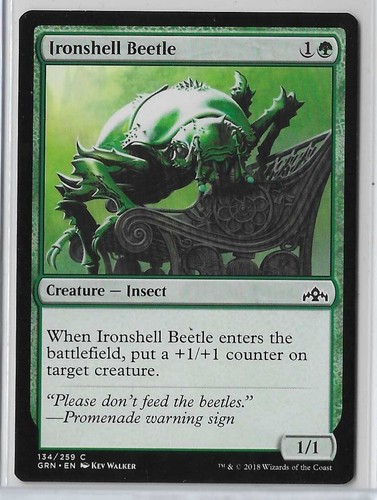 MTG Ironshell Beetle Guilds of Ravnica (GRN) Common Magic Card #134/259 ...