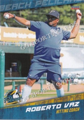 2024 Myrtle Beach Pelicans Roberto Vaz Card Cubs Minor League HC | eBay