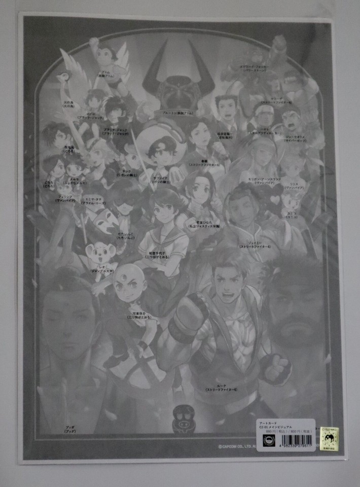 CAPCOM STREET FIGHTR6: Ryu Luke Jamie Chun-Li Marisa. Art card SF6 ...