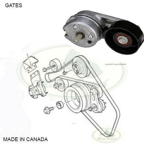 JAGUAR PRIMARY BELT TENSIONER S TYPE XJ XK XF C2C36146 GATES | eBay