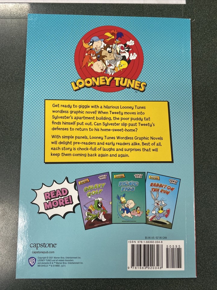 High-Rise Hijinks (Paperback or Softback) WORDLESS Graphic Novel ...