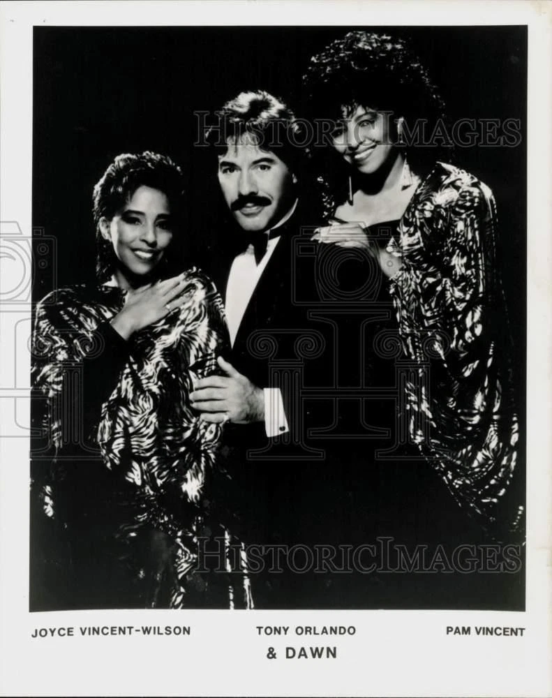 Joyce Vincent Wilson